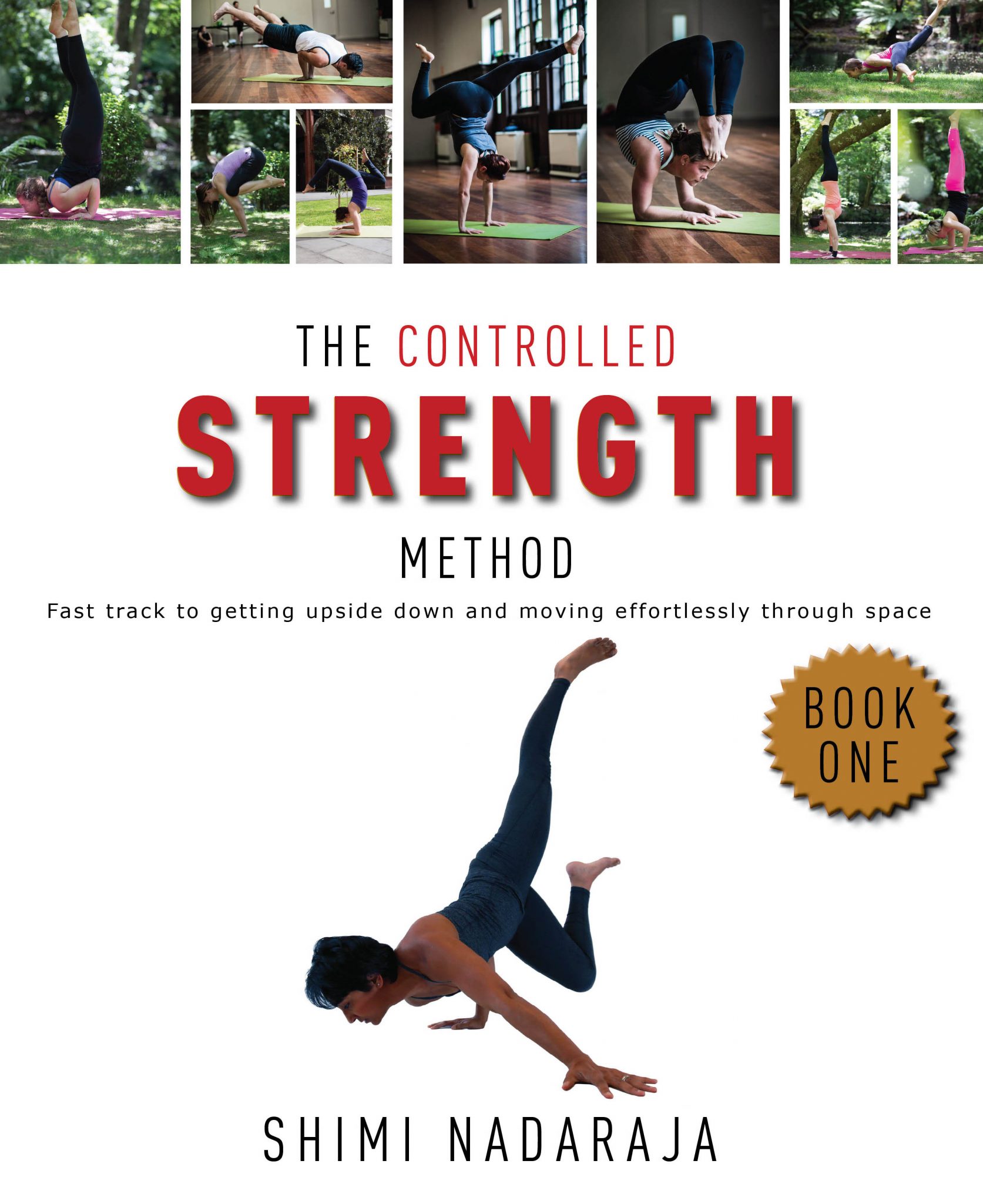 Controlled Strength | Busybird Publishing