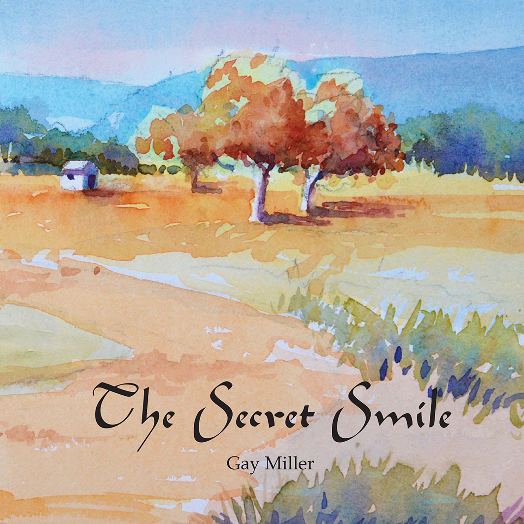 The Secret Smile | Busybird Publishing