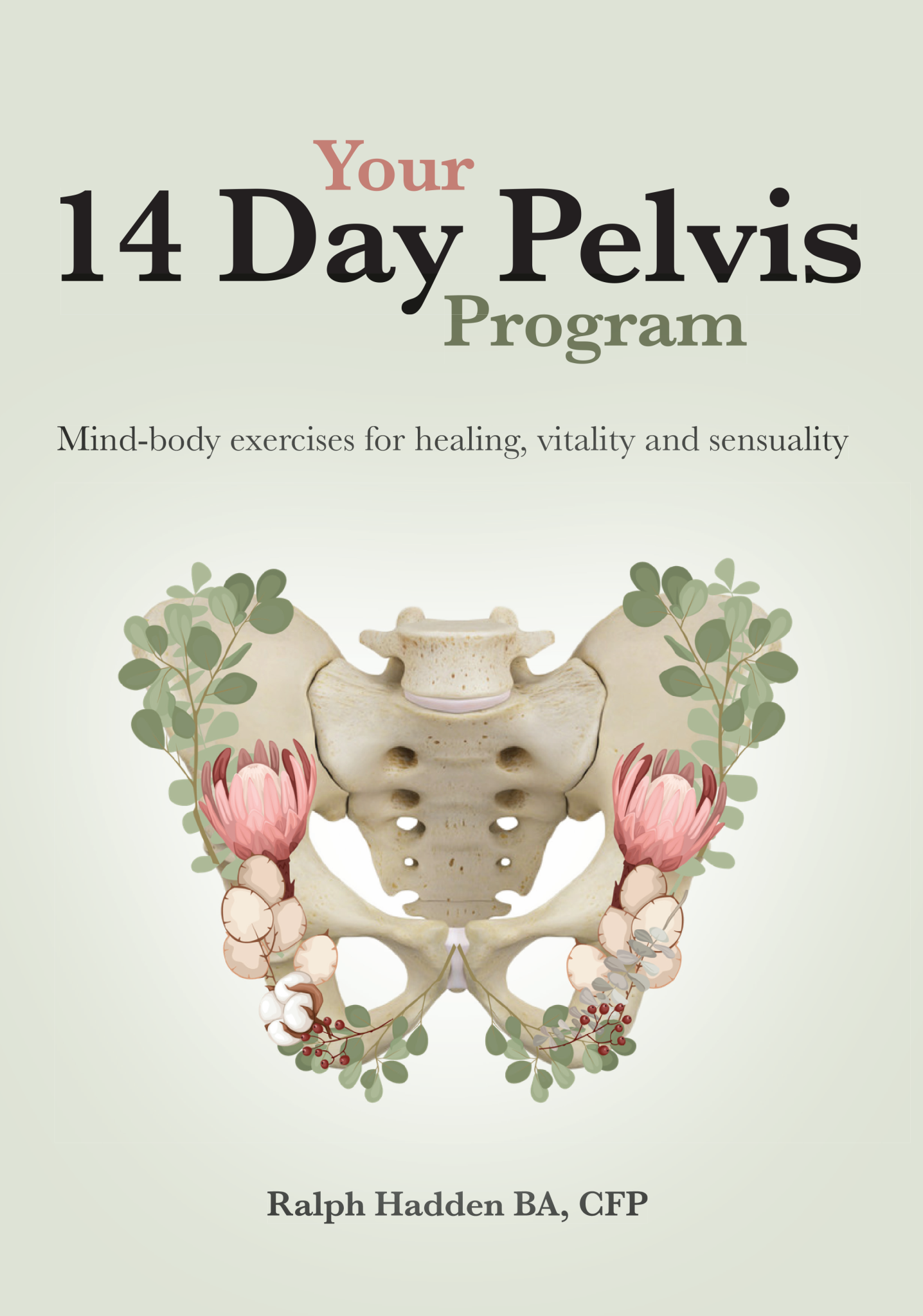 Your 14 Day Pelvis Program | Busybird Publishing